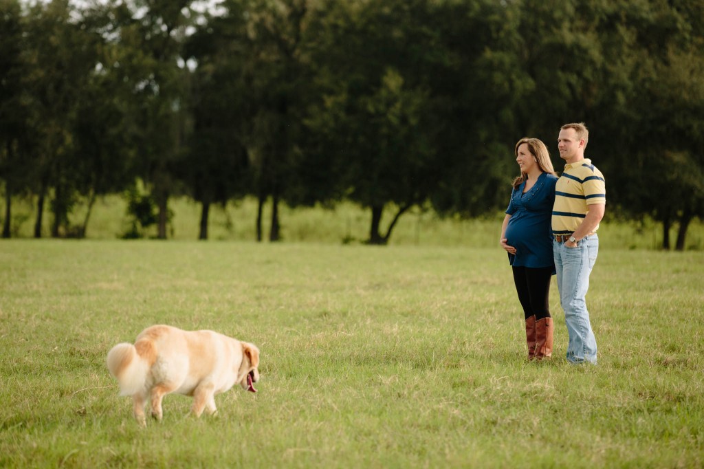 Expecting . Runnels Family » Carolyn Allen Photography
